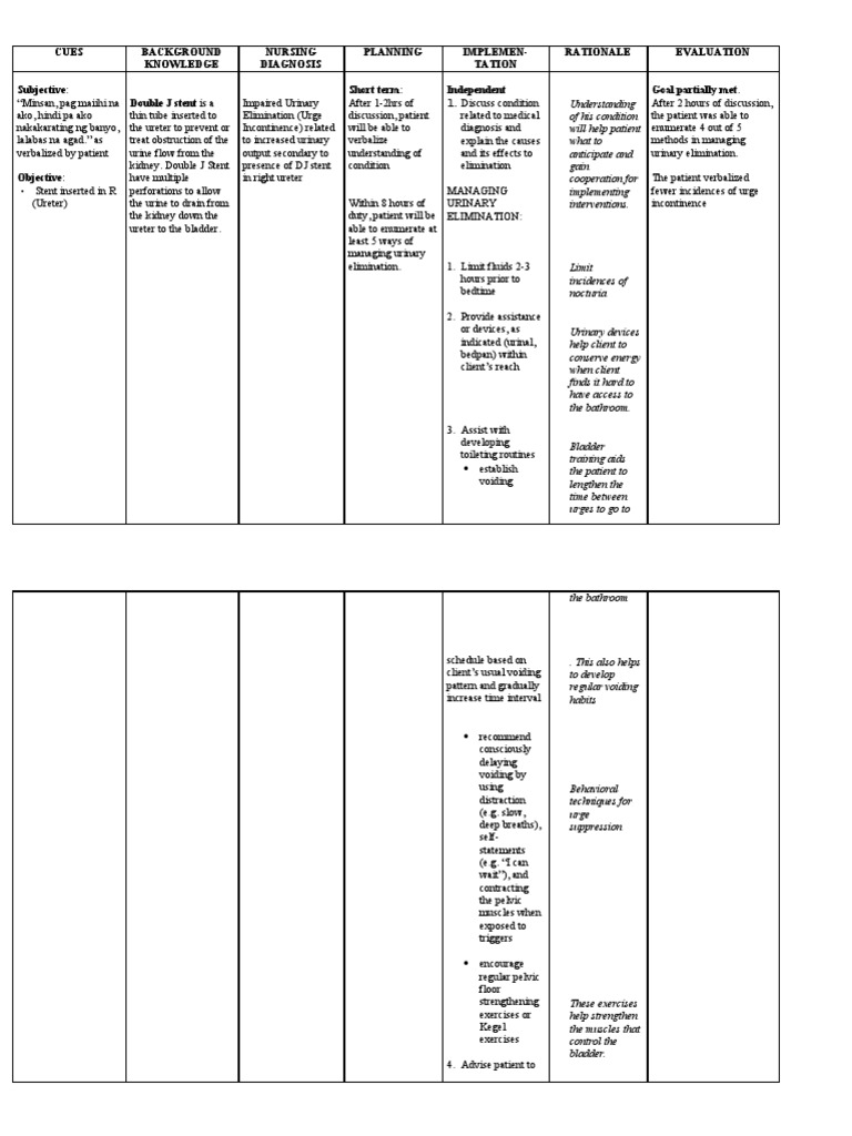 Nursing Care Plans | PDF | Urinary Incontinence | Urination