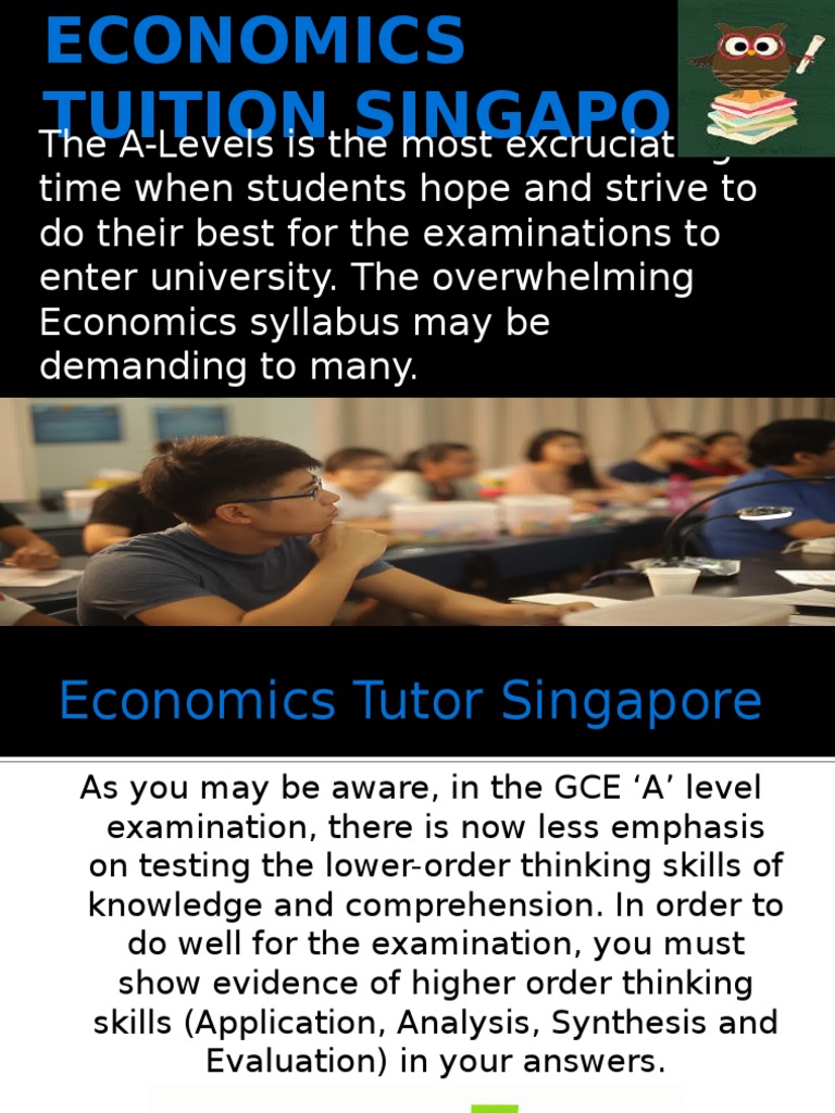 Economics Tuition | PDF