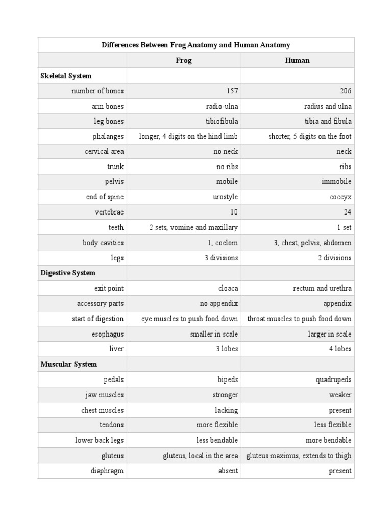 Frog vs. Human Anatomy Comparison | PDF | Wellness | Science & Mathematics