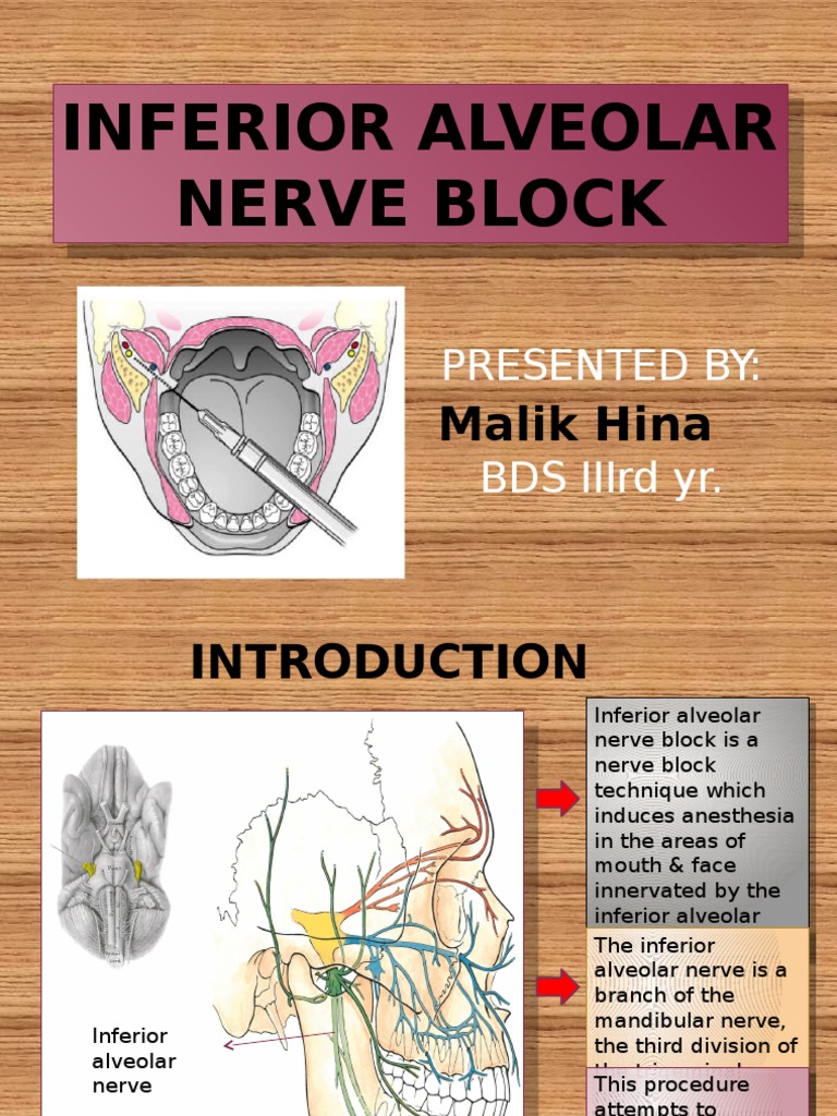 Inferior alveolar Nerve Block | Human Anatomy | Mouth