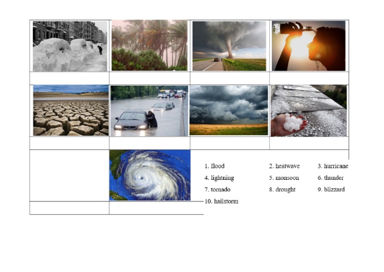 Extreme Weather Worksheet | PDF