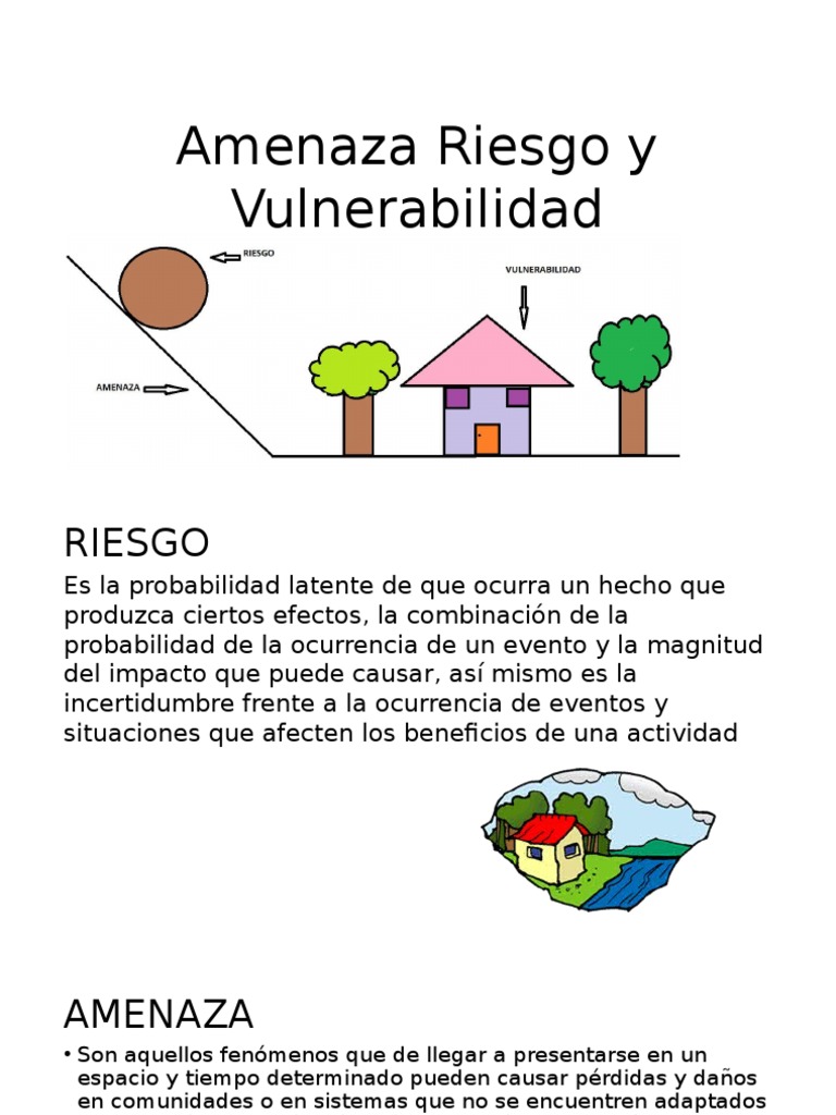 Amenaza Riesgo y Vulnerabilidad | PDF | Vulnerabilidad | Riesgo
