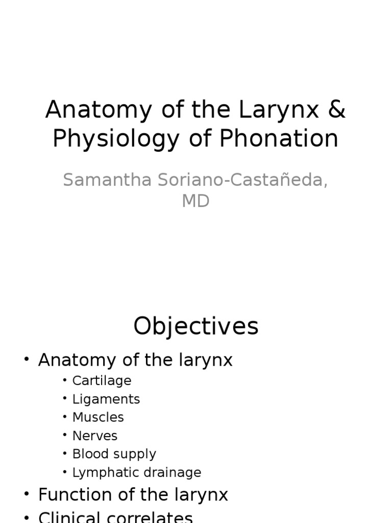 Larynx Anatomy and Phonation Physiology | PDF | Larynx | Human Anatomy