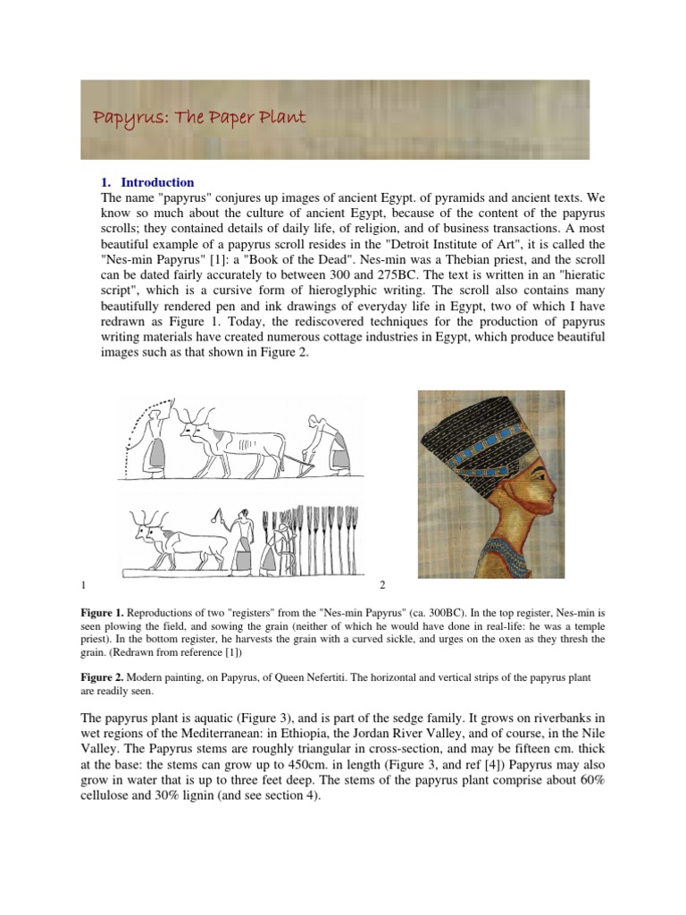 Papyrus: The Paper Plant ... Oldest Paper in History | PDF | Cellulose ...