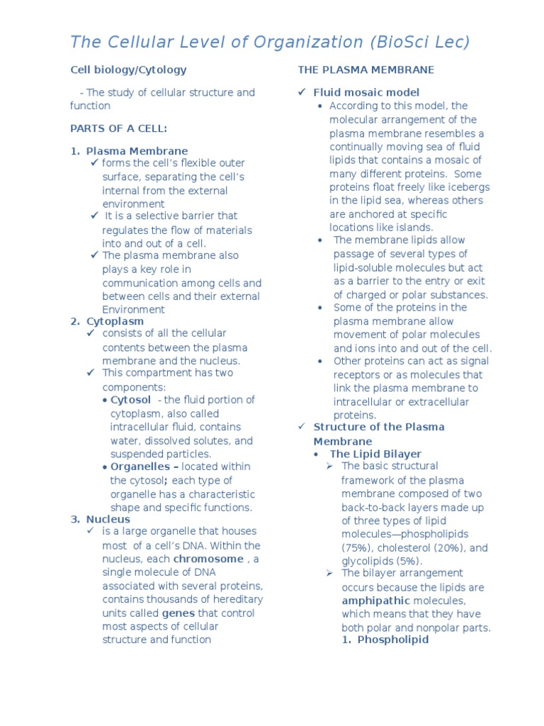 The Cellular Level of Organization | PDF | Cell Membrane | Endoplasmic Reticulum