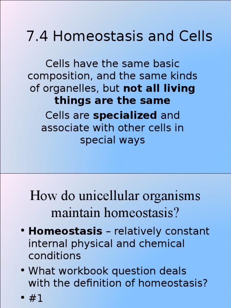 7.4 homeostasis | Cell (Biology) | Organisms