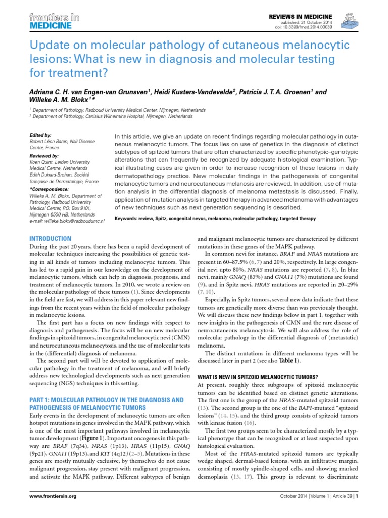 BAPoma Skin | PDF | Melanoma | Metastasis