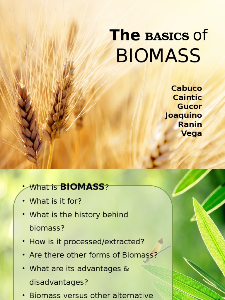 Understanding Biomass Energy Basics | PDF | Biomass | Biofuel