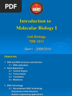 A-Level Biology: Nucleus Guide | PDF | Cell Nucleus | Cell (Biology)