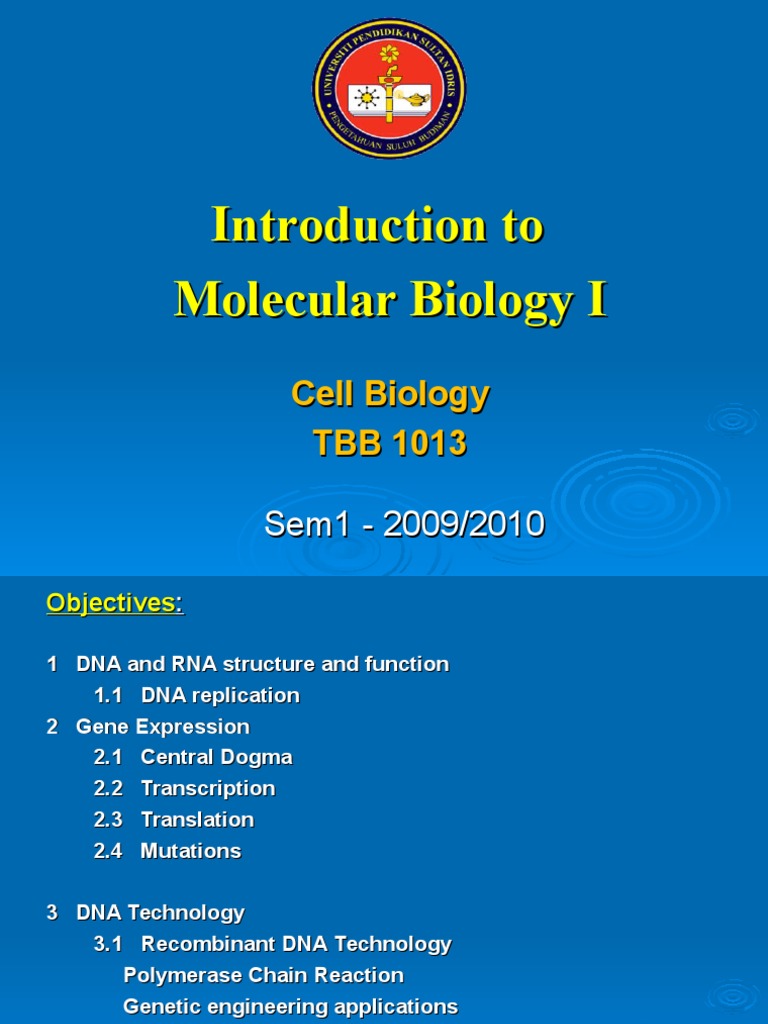 Introduction To Molecular Biology | PDF | Translation (Biology) | Dna