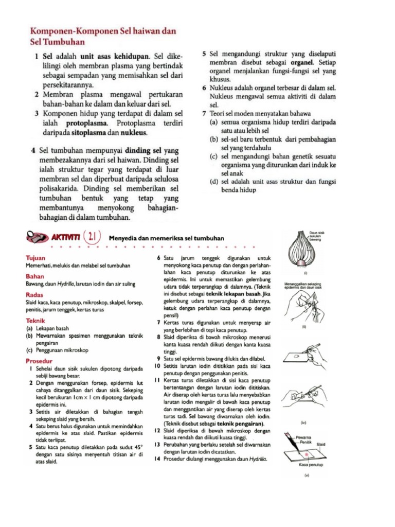 Bab 2 Biology Nota | PDF