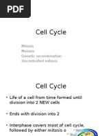 Mnemonics For Cycle Cell and Division | PDF