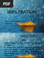 Interception - Hydrology | PDF | Precipitation | Hydrology