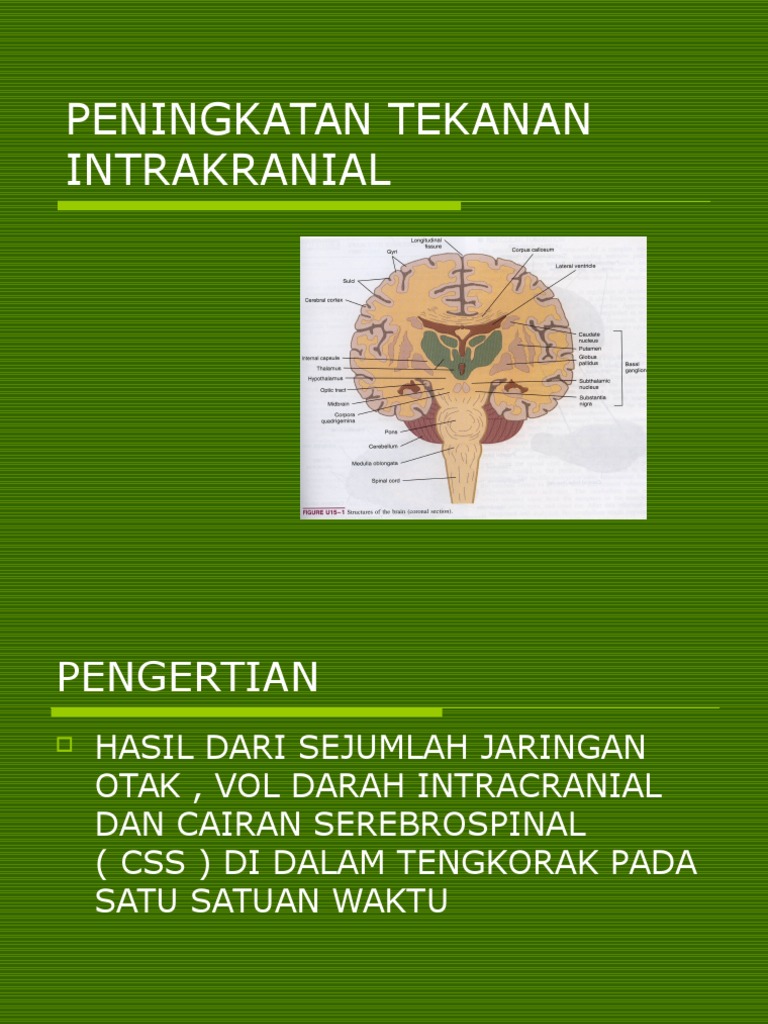 Peningkatan Tekanan Intrakranial | PDF