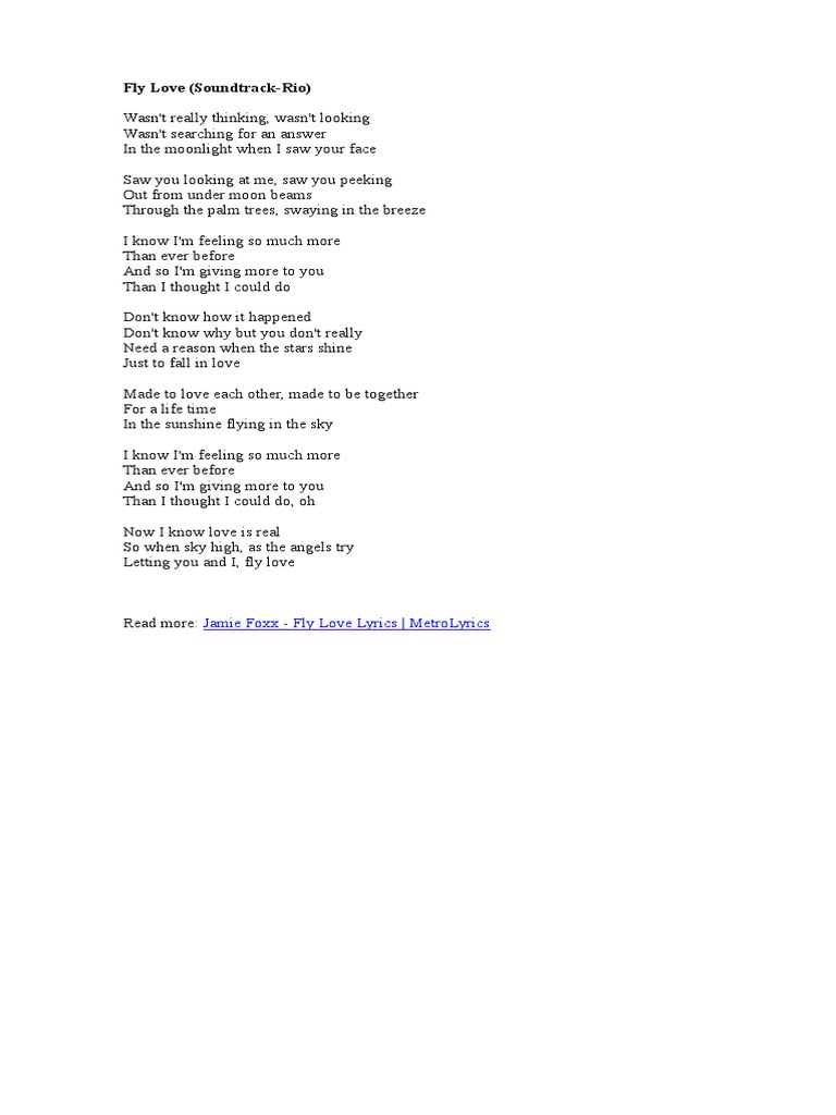 Fly Love Lyrics Analysis and Meaning | PDF