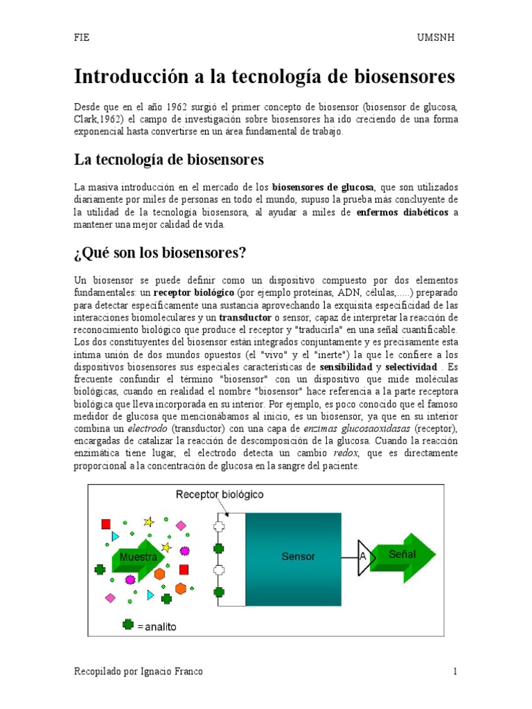 Introduccion A Los Biosensores | PDF | Biosensor | Nanotecnología