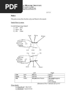 TCM Pulse Diagnosis: 29 Types Explained | PDF | Pulse | Traditional ...