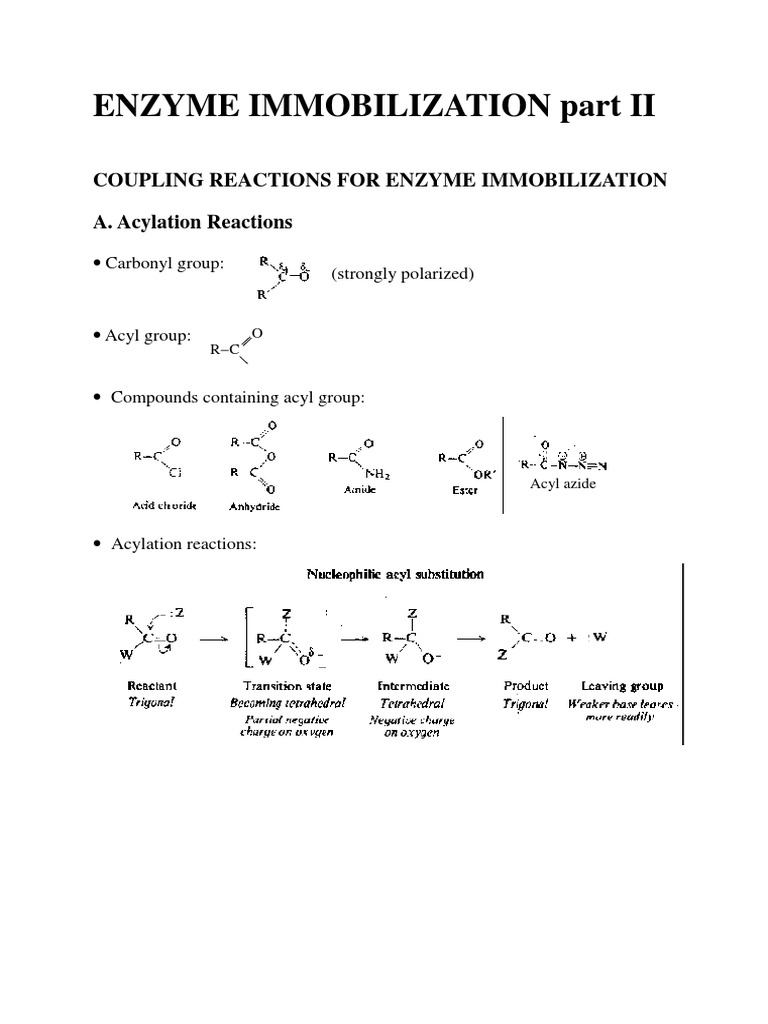ENZYME IMMOBILIZATION Part II PDF | PDF | Nylon | Amine