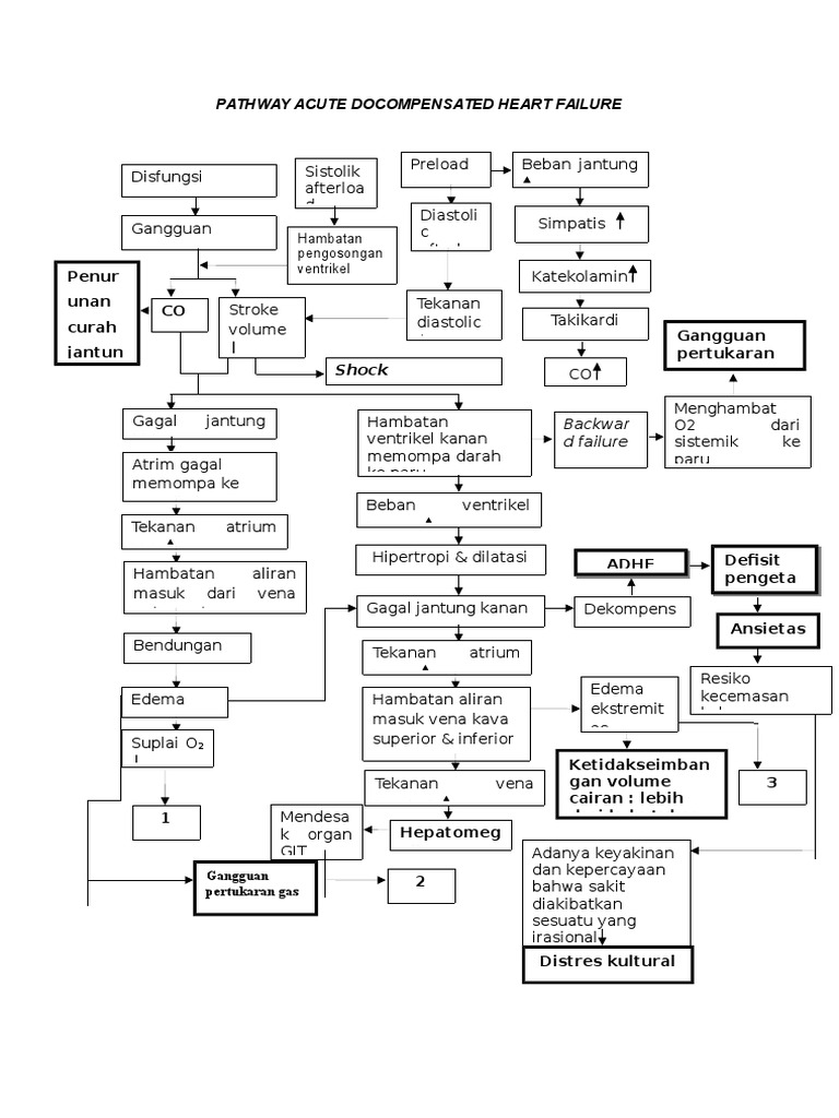 Pathway Adhf | PDF | Kesehatan Holistik
