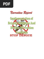 Picto-Narrative Report Nutri17 | PDF | Body Mass Index | Nutrition