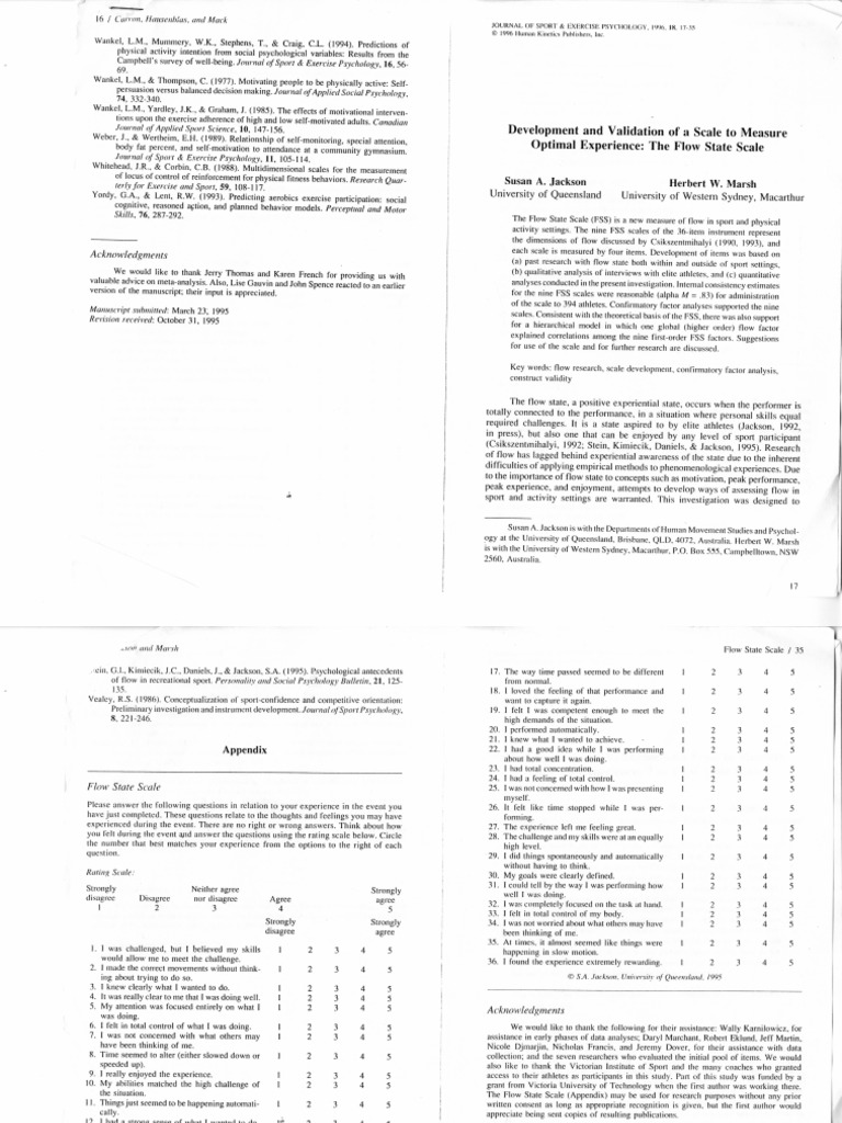 Flow State Scale | PDF