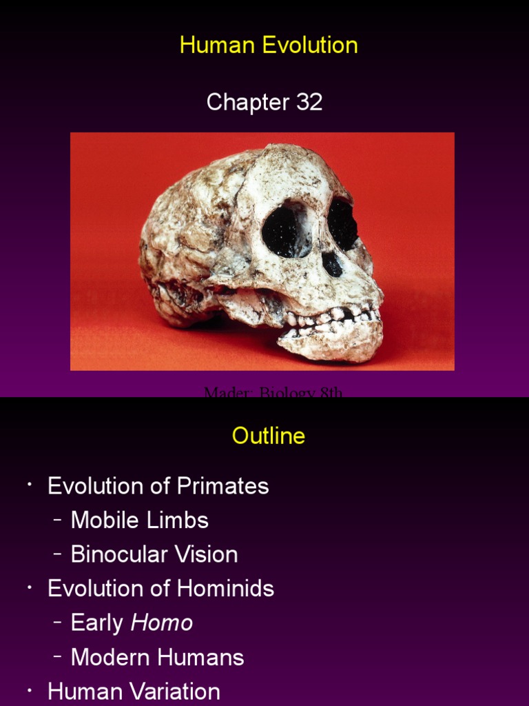Human Evolution Lecture | PDF | Homo | Human Evolution