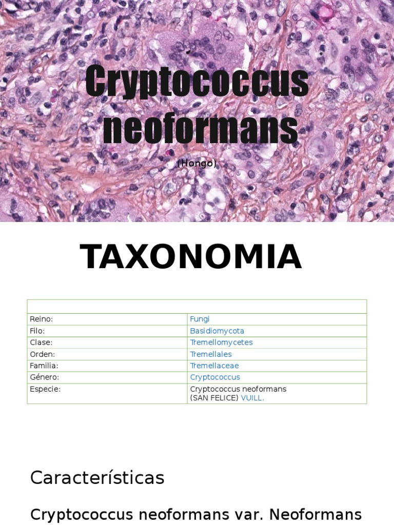 Cryptococcus Neoformans | PDF