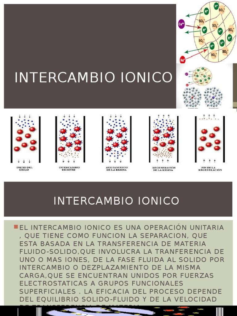 INTERCAMBIO-IONICO | Intercambio iónico | Ion
