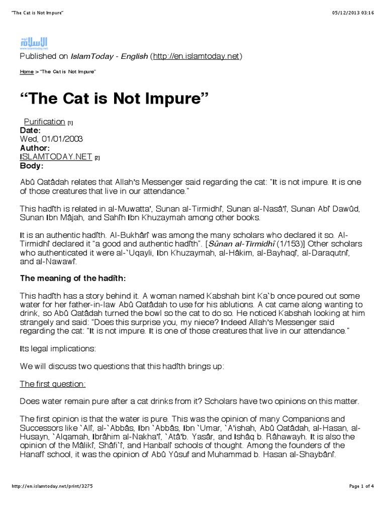 Cats and Purity in Islam | PDF