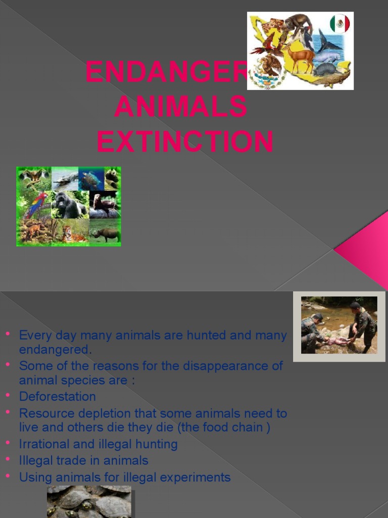 Endangered Animals and Extinction Causes | PDF