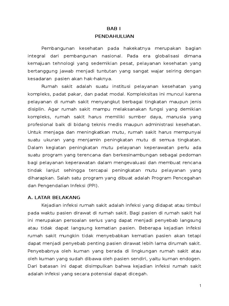 Program Ppi 2016 | PDF