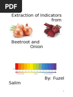 Natural pH Indicators: Onion & Beetroot | PDF | Onion | Beetroot
