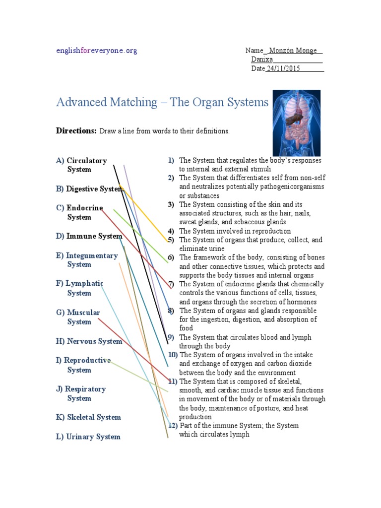 Organ Systems Matching Worksheet | PDF | Human Body | Physiology