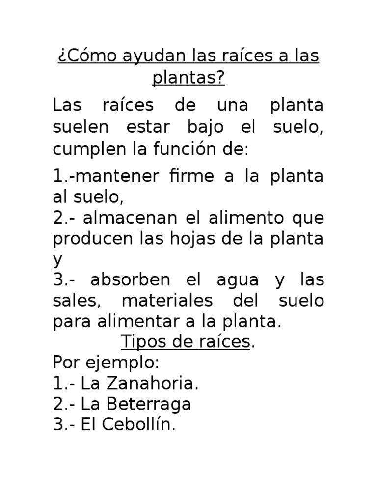 Cómo Ayudan Las Raíces A Las Plantas | PDF | Raíz | Tallo de la planta