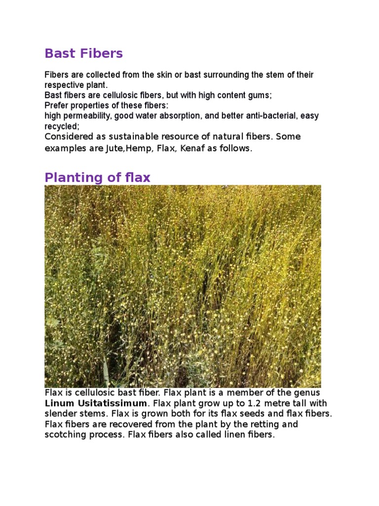 Bast Fibers | PDF | Flax | Textiles
