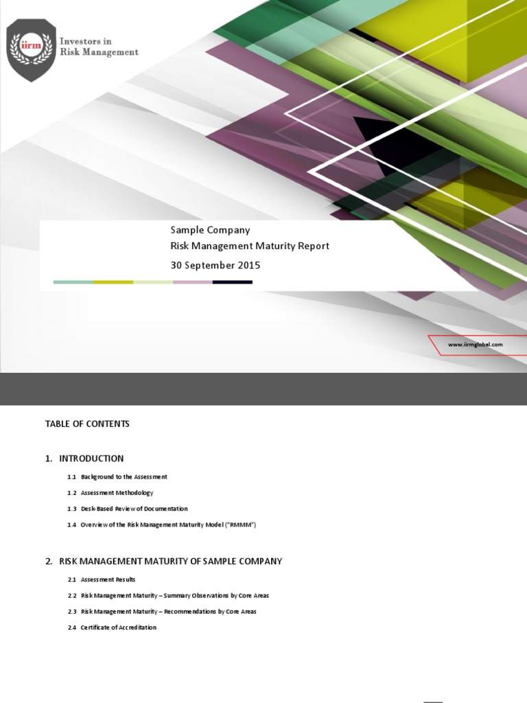 Risk Management Maturity Report | PDF | Risk Management | Internal Audit