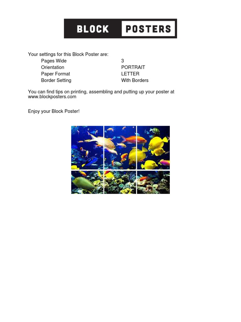 Block Poster Settings and Tips | PDF