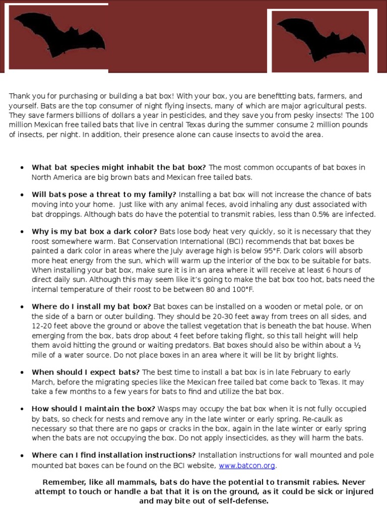 Bat Box FAQs | PDF | Bat | Nature