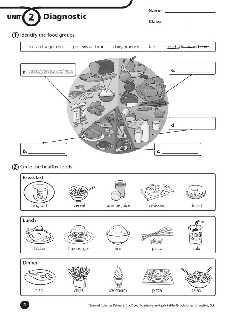 Healthy Eating for Primary 3 Students | PDF