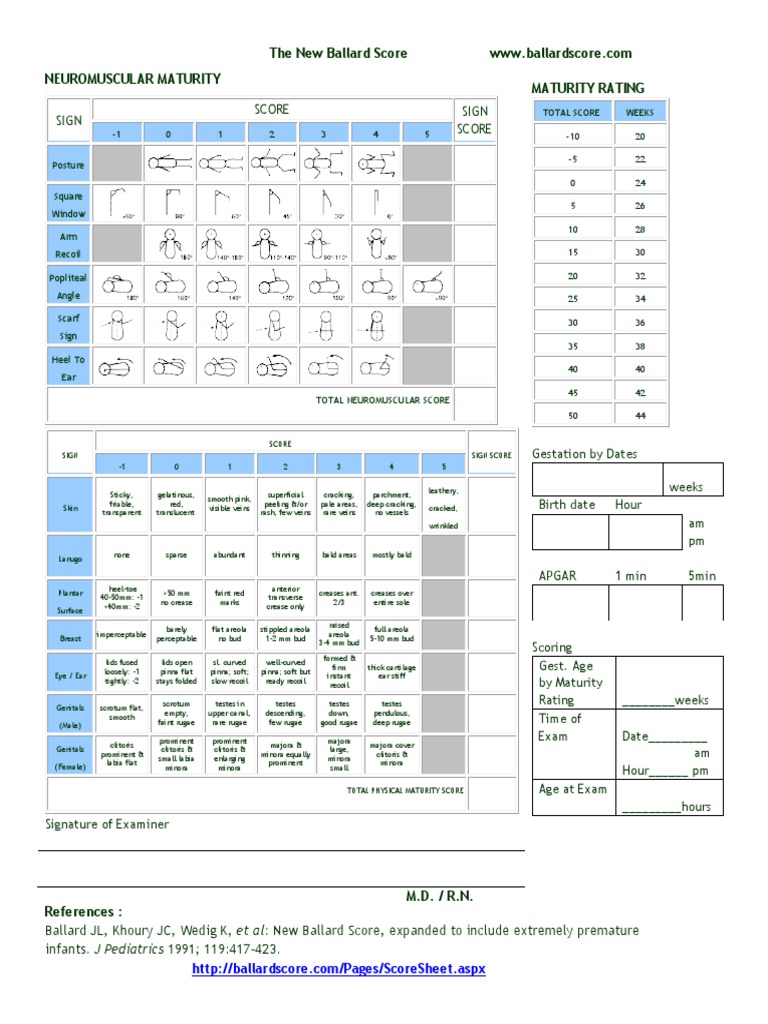 The New Ballard Score Neuromuscular Maturity Maturity Rating | PDF