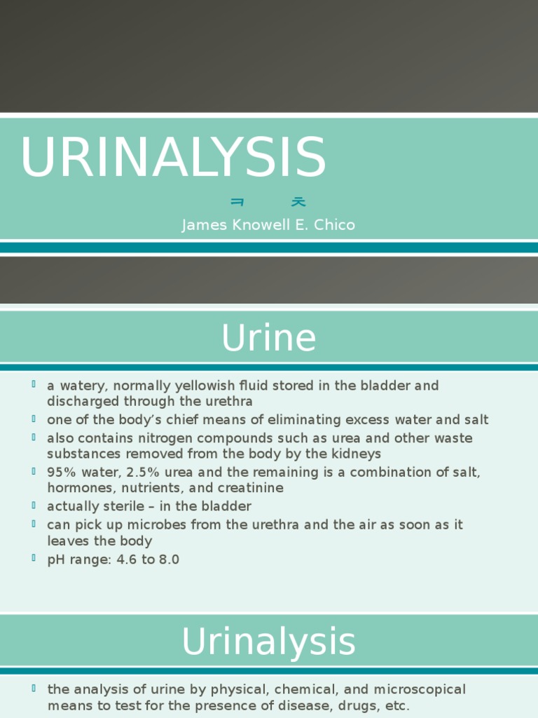 Urinalysis | Download Free PDF | Urine | Urea