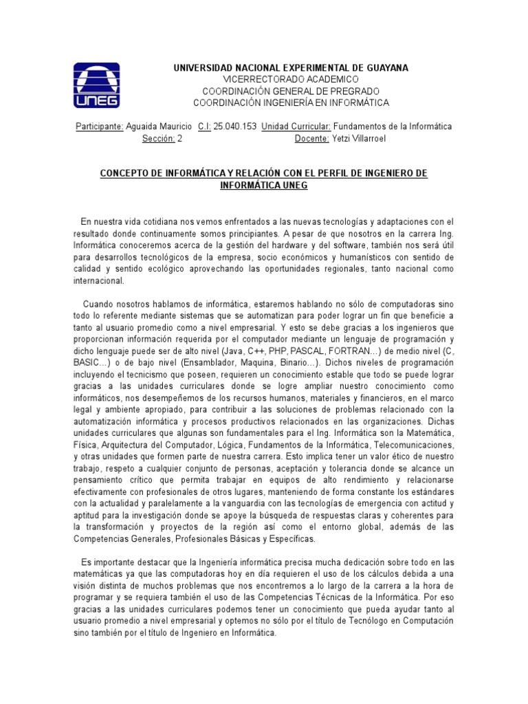 Ensayo Del Perfil de Informatica | Descargar gratis PDF | Ingeniería ...