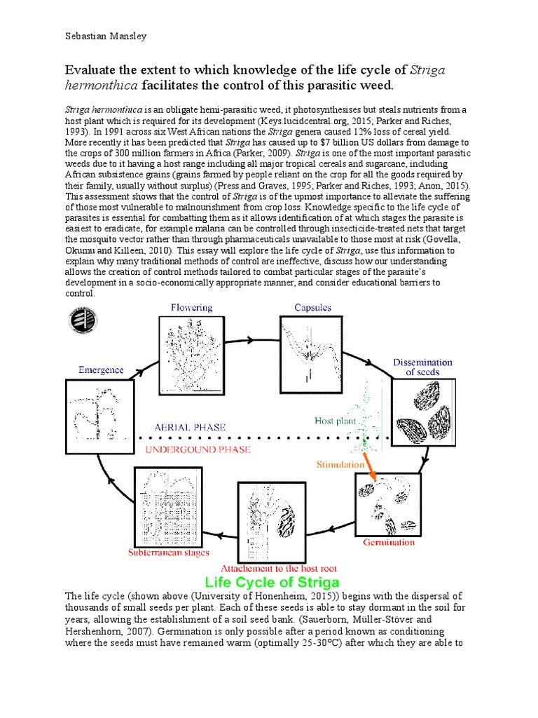 Evaluate the Extent to Which Knowledge of the Life Cycle of Striga ...