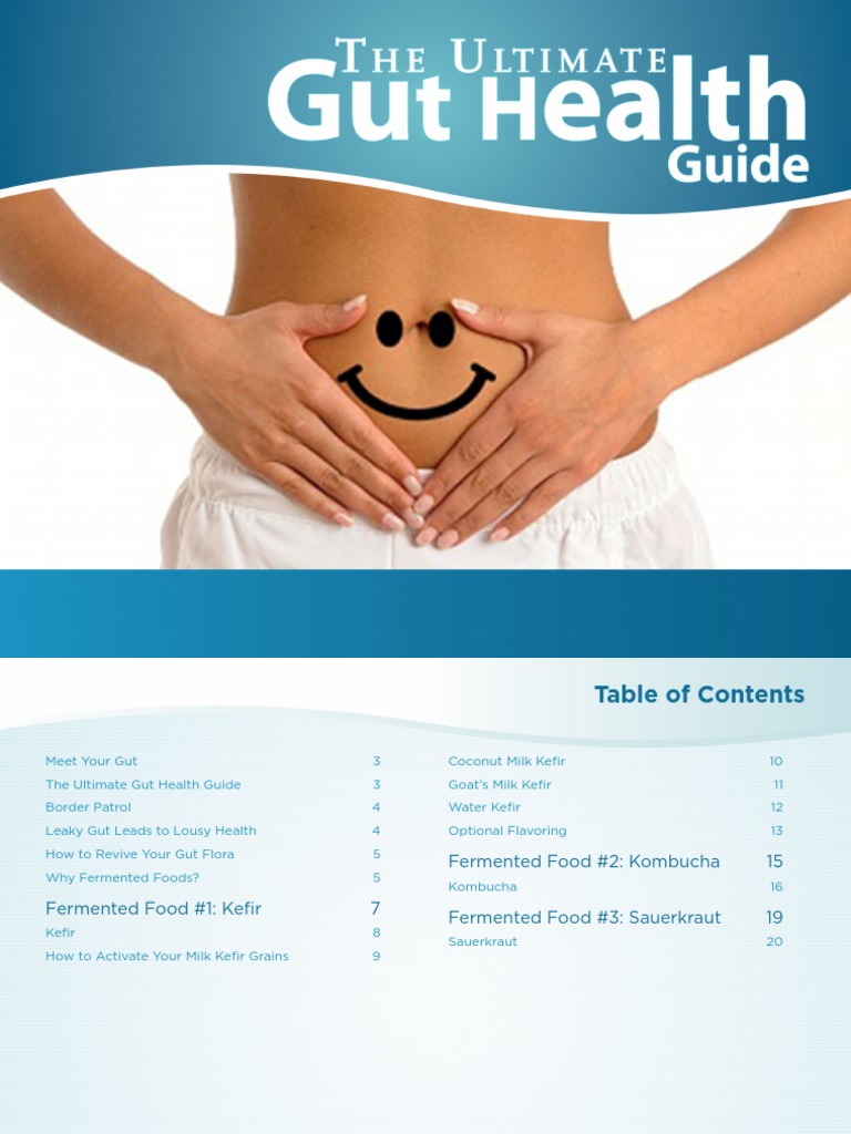 Essential Guide to Gut Health & Fermentation | PDF | Gut Flora ...