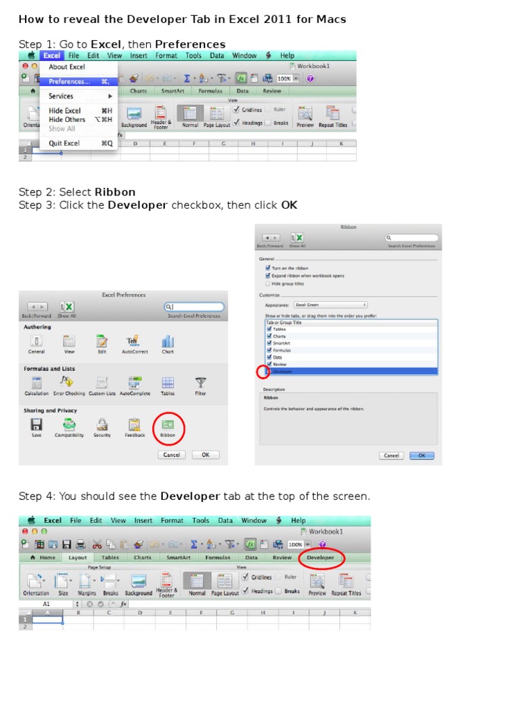 Reveal The Developer Tab in Excel | PDF
