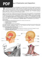 Anatomy and Physiology Chapter 1 Practice Test | PDF | Anatomical Terms ...