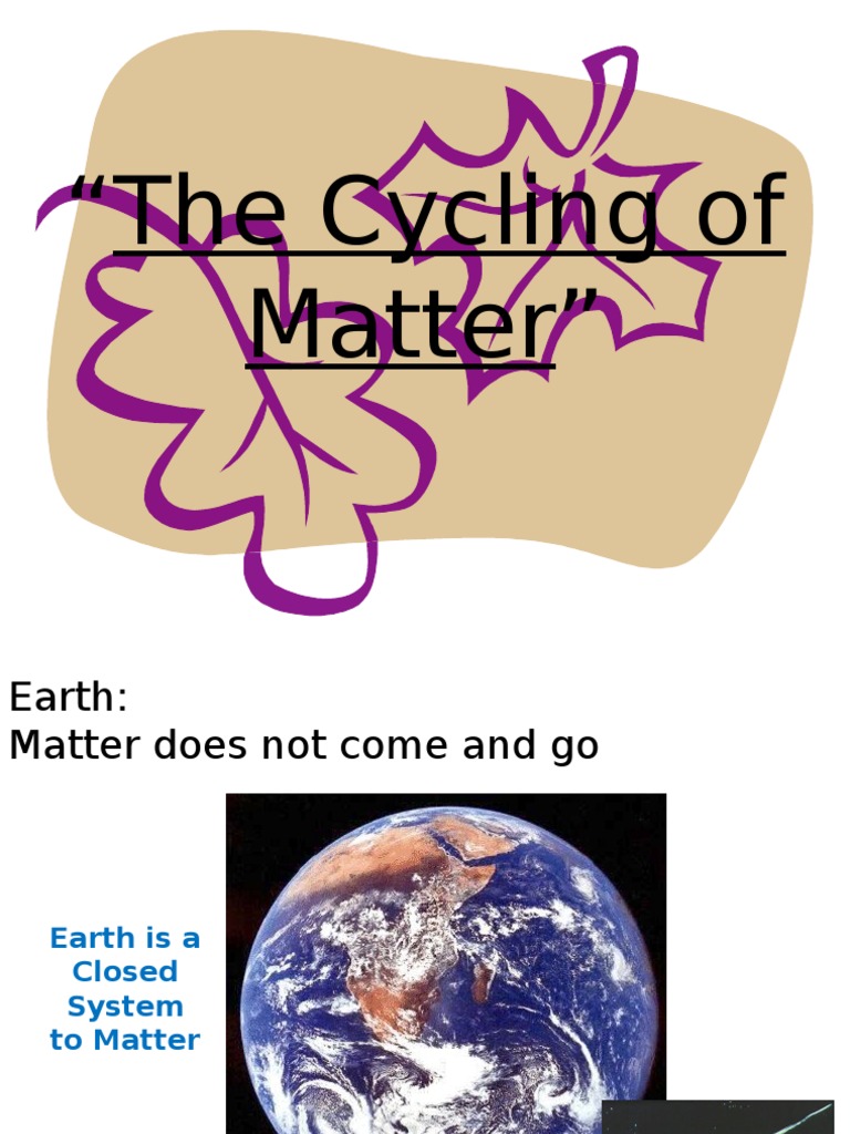 Importance of Matter Cycling in Ecosystems | PDF | Ecosystem | Carbon Cycle