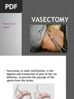 Meatotomy/meatoplasty: Procedure-Specific Information | PDF | Urology ...