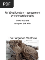 Benenstein Basic Tee Protocol | PDF | Heart Valve | Echocardiography