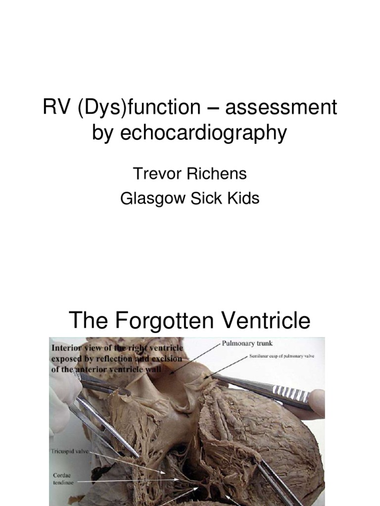 RV Dysfunction - Assessment by Echocardiography | PDF | Heart ...